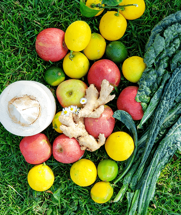 Ginger Coco - DrinkMe Beverages Canada